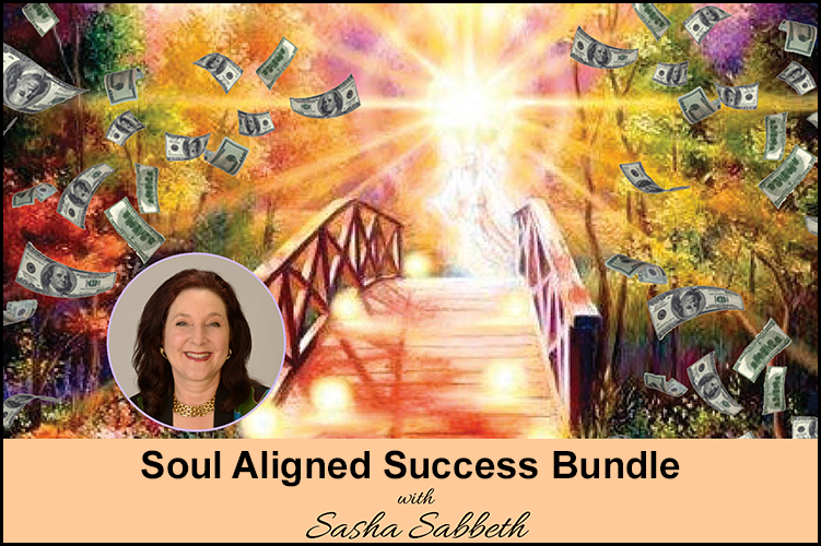 Soul Aligned Success